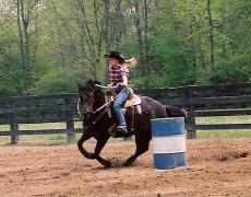 Barrel Shows | Rattle Run Farms